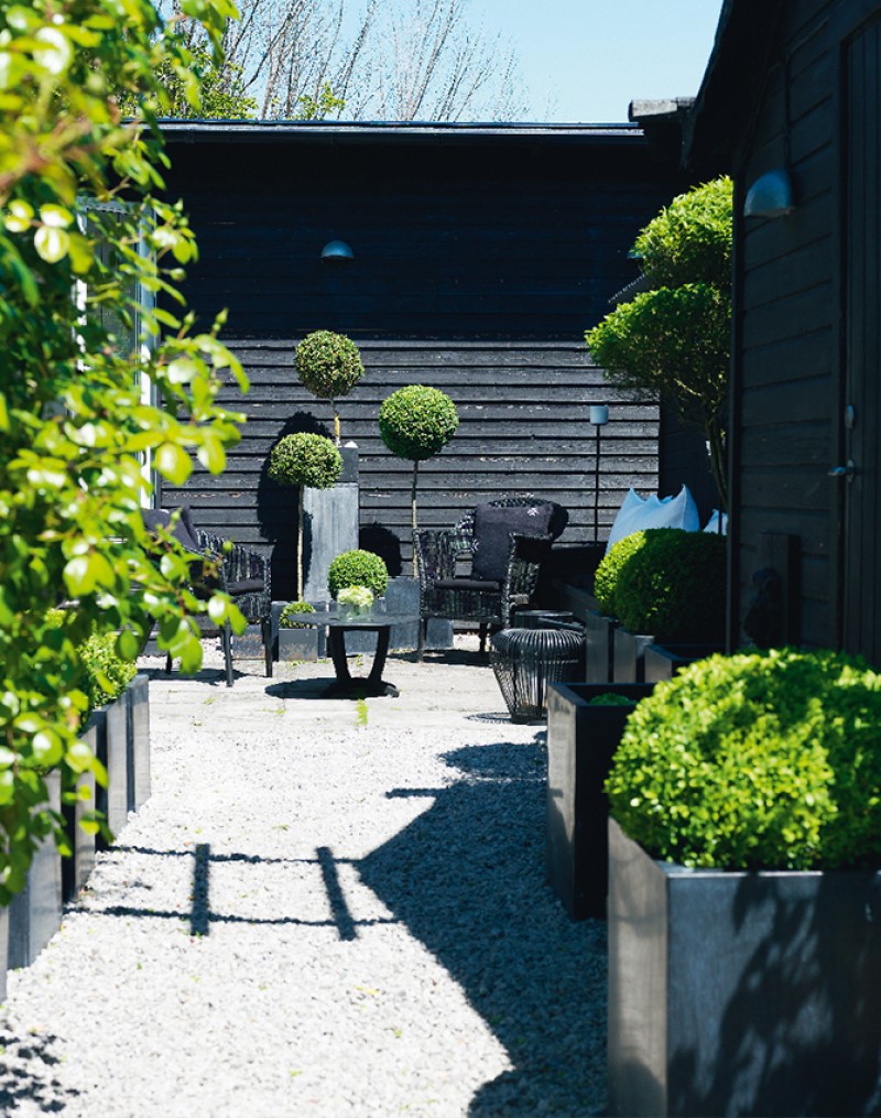 6 vacka tips med svart | Alcro Färg