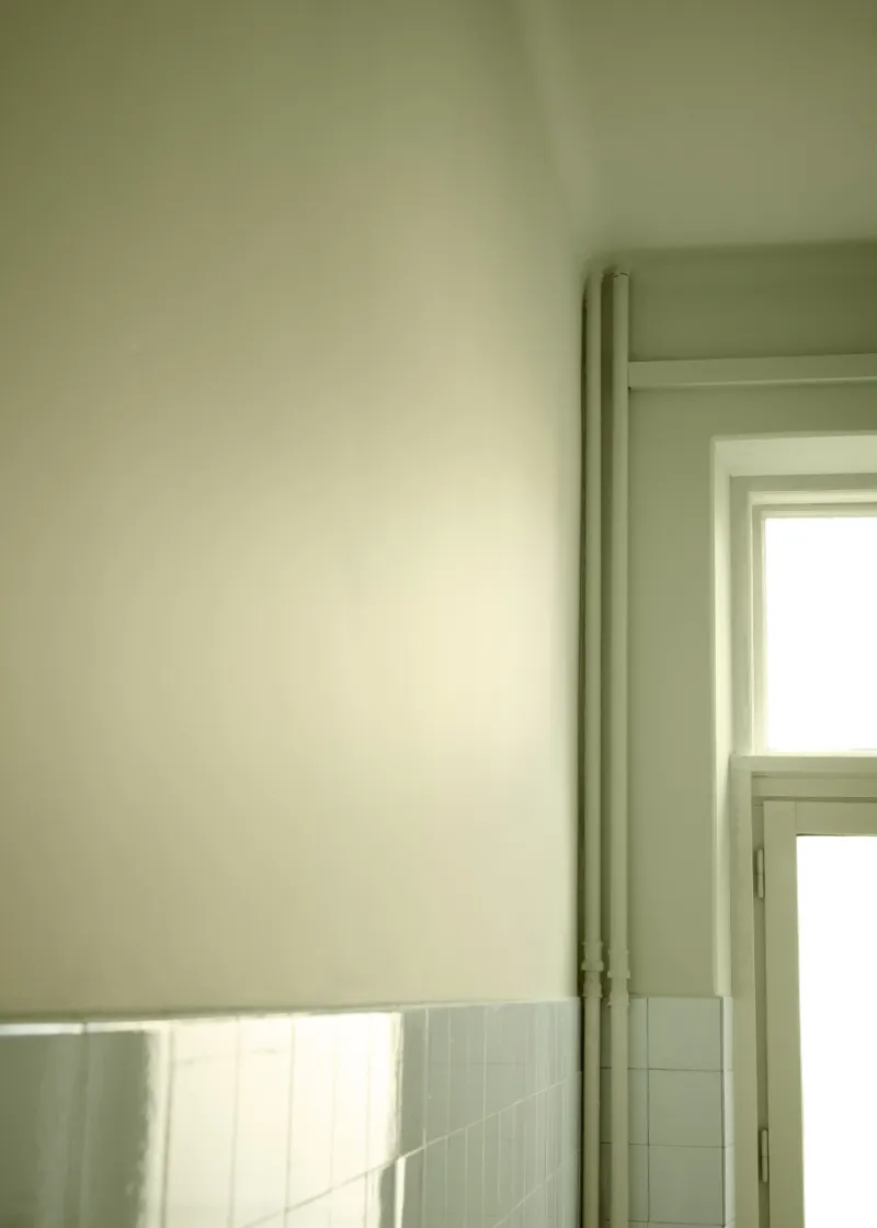 10 Mint in Mexico | Alcro Färg